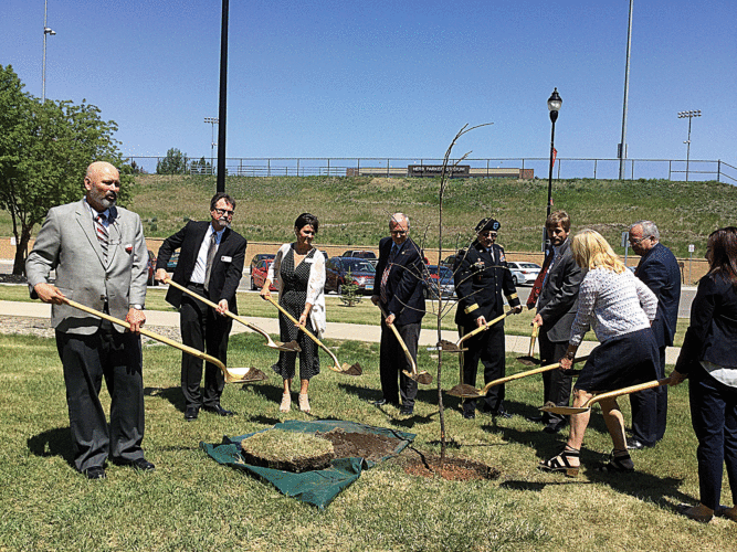 Trees planted at MSU in memory of World War I vets | News, Sports, Jobs ...
